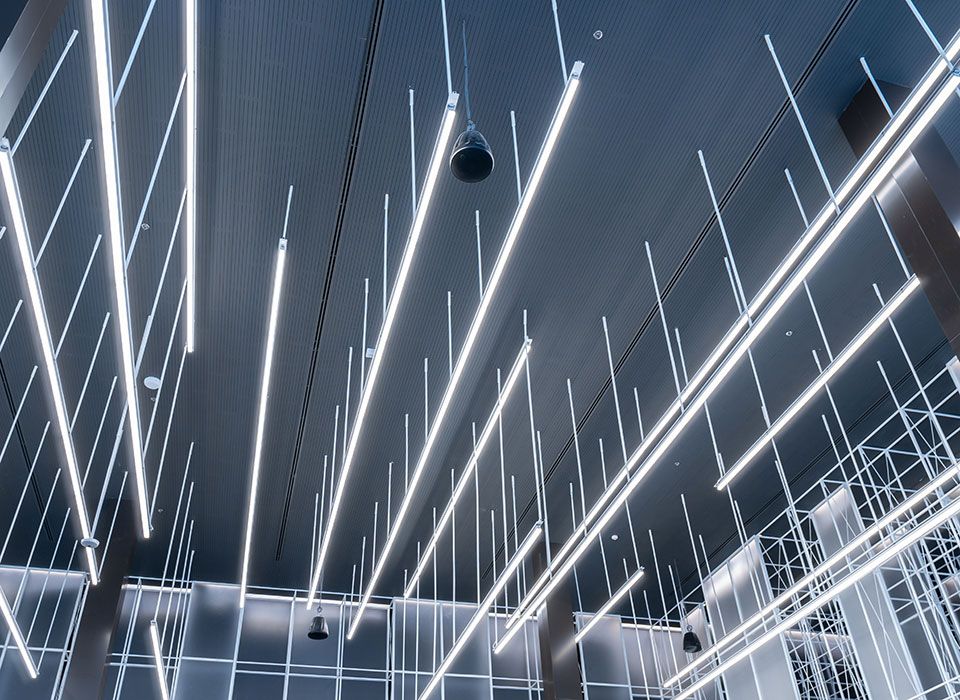 Intrack adapter, holder for linear LED light systems, changeable